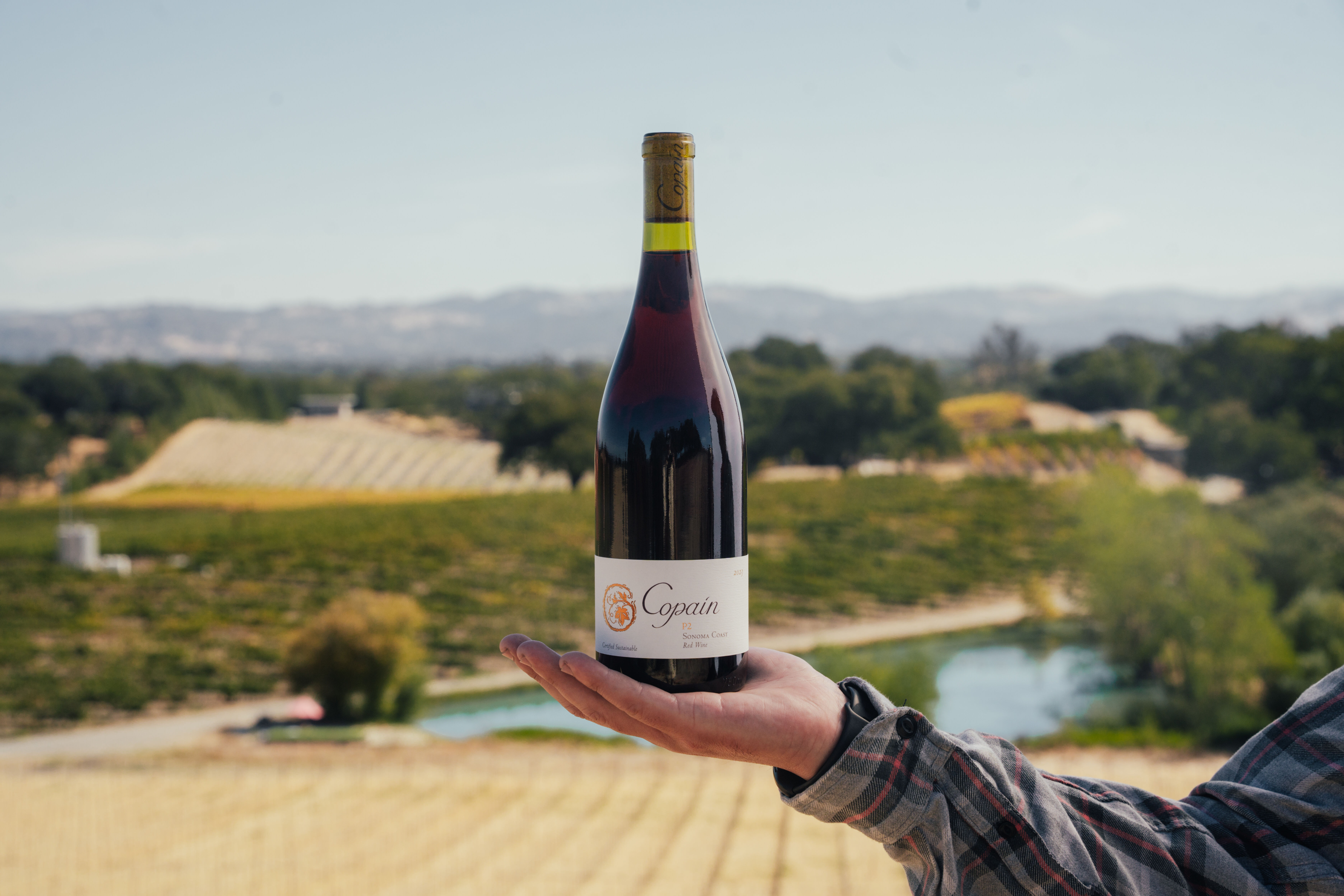 Copain Wines | Vineyard Designate Pinot Noir, Chardonnay and Syrah