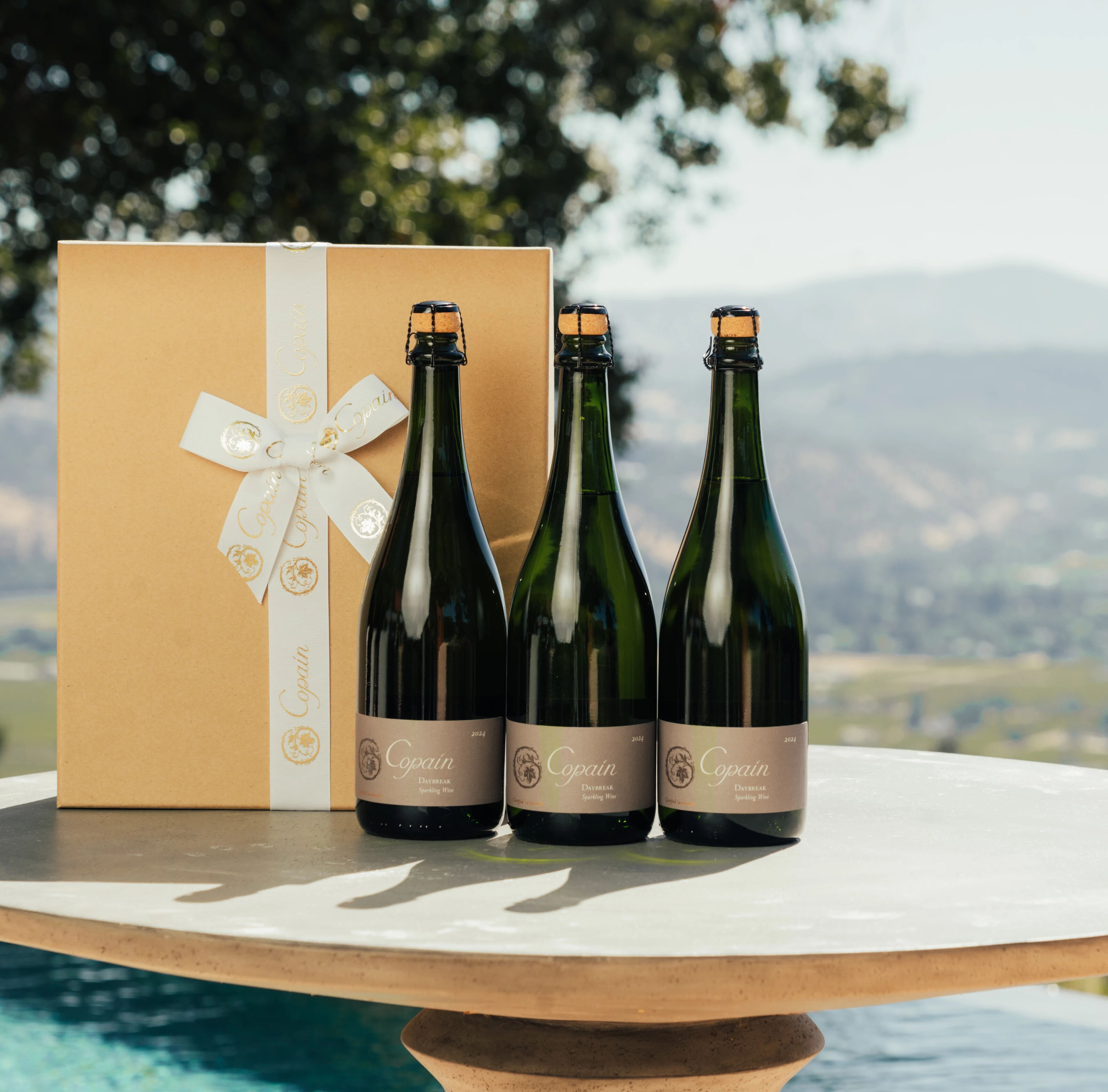 Bubble Riot | Copain Wines